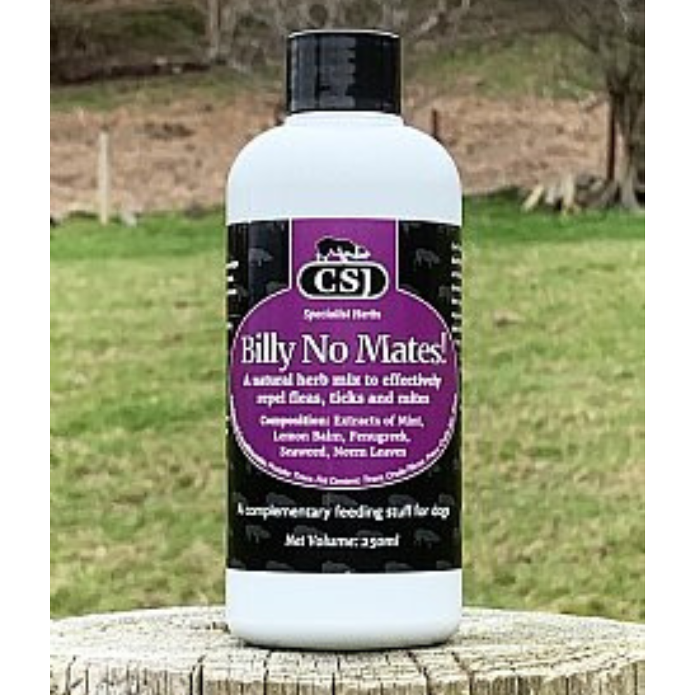 CSJ Billy No Mates Liquid 250ml – Natural Raw